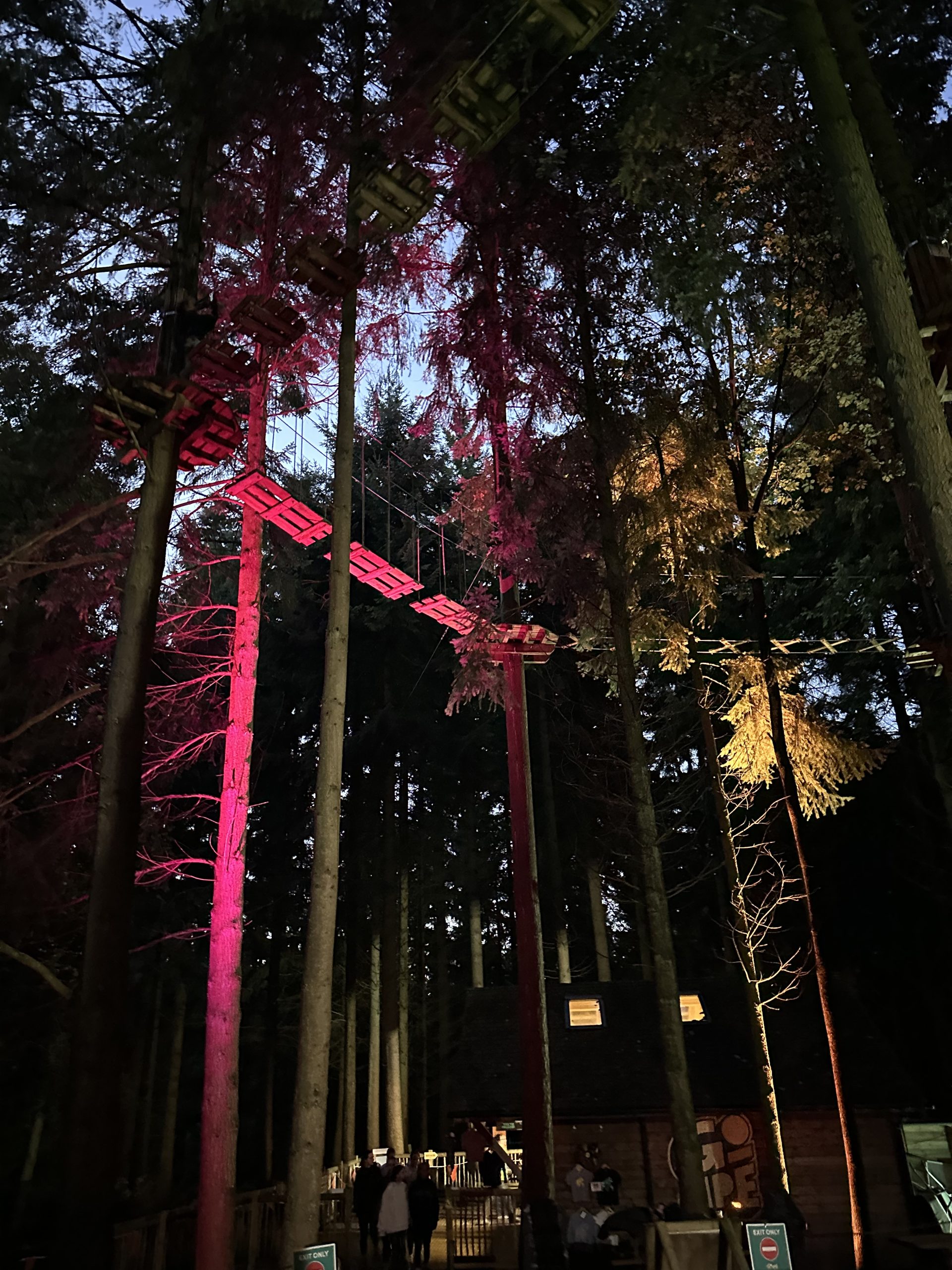 REVIEW: Go Ape at Sundown in Wyre Forest - The Kidderminster Standard