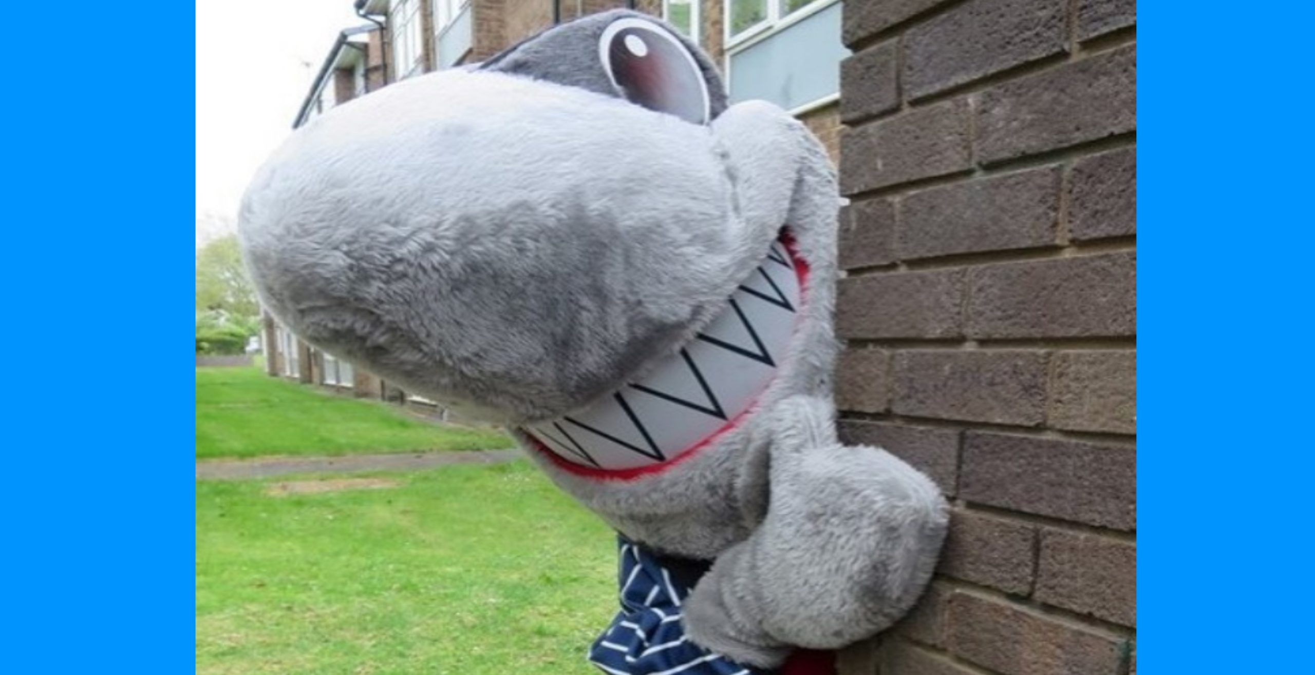 BITING BACK - How Stop Loan Sharks is combatting illegal money lenders ...