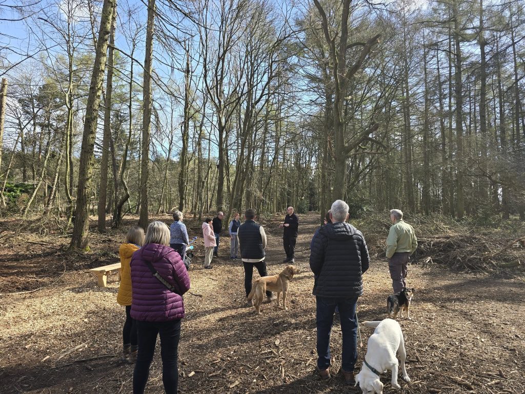3,000 new trees for Kidderminster woodland after Storm Darragh
