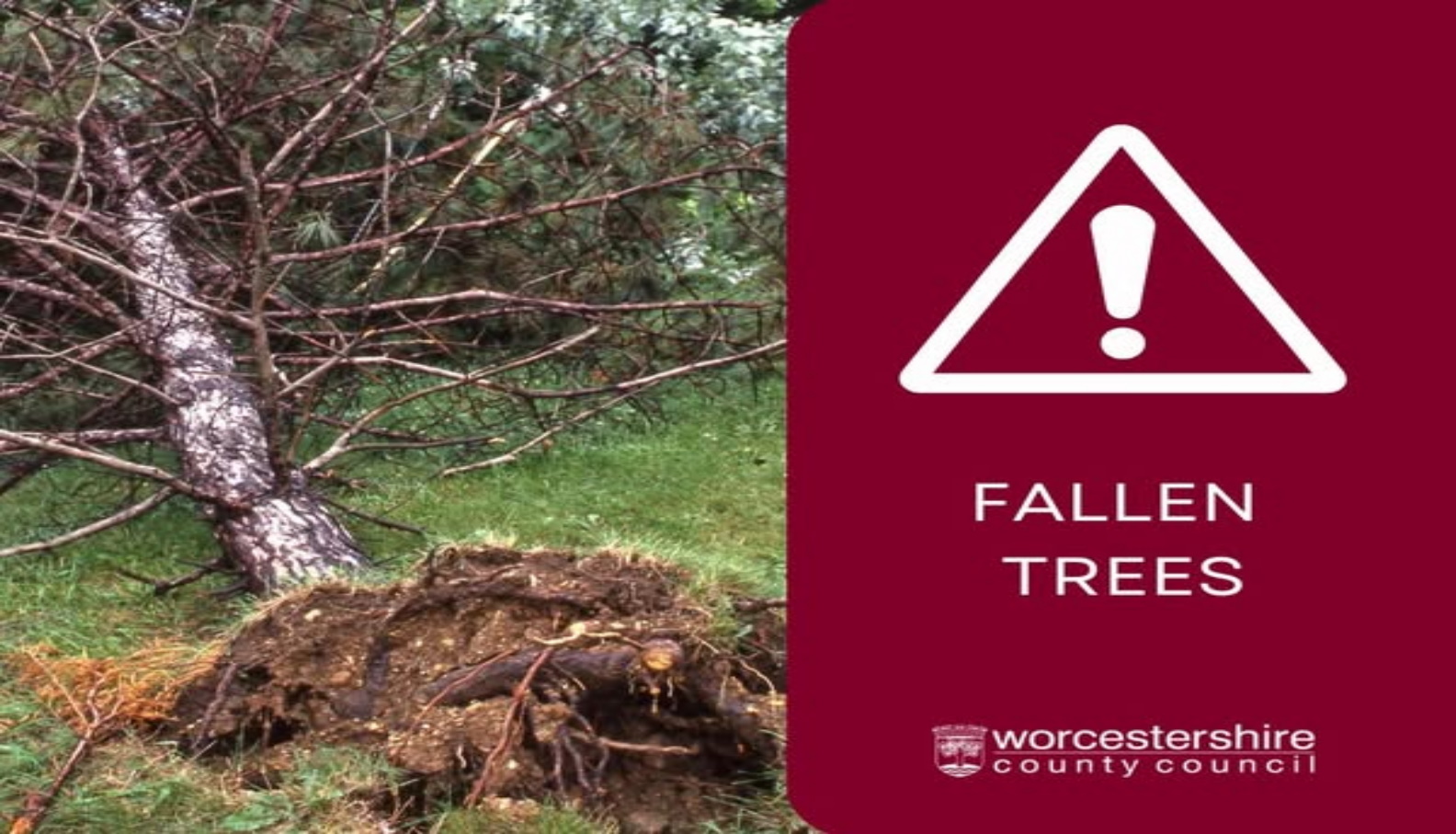 Roads in Kidderminster and Bewdley closed due to fallen trees