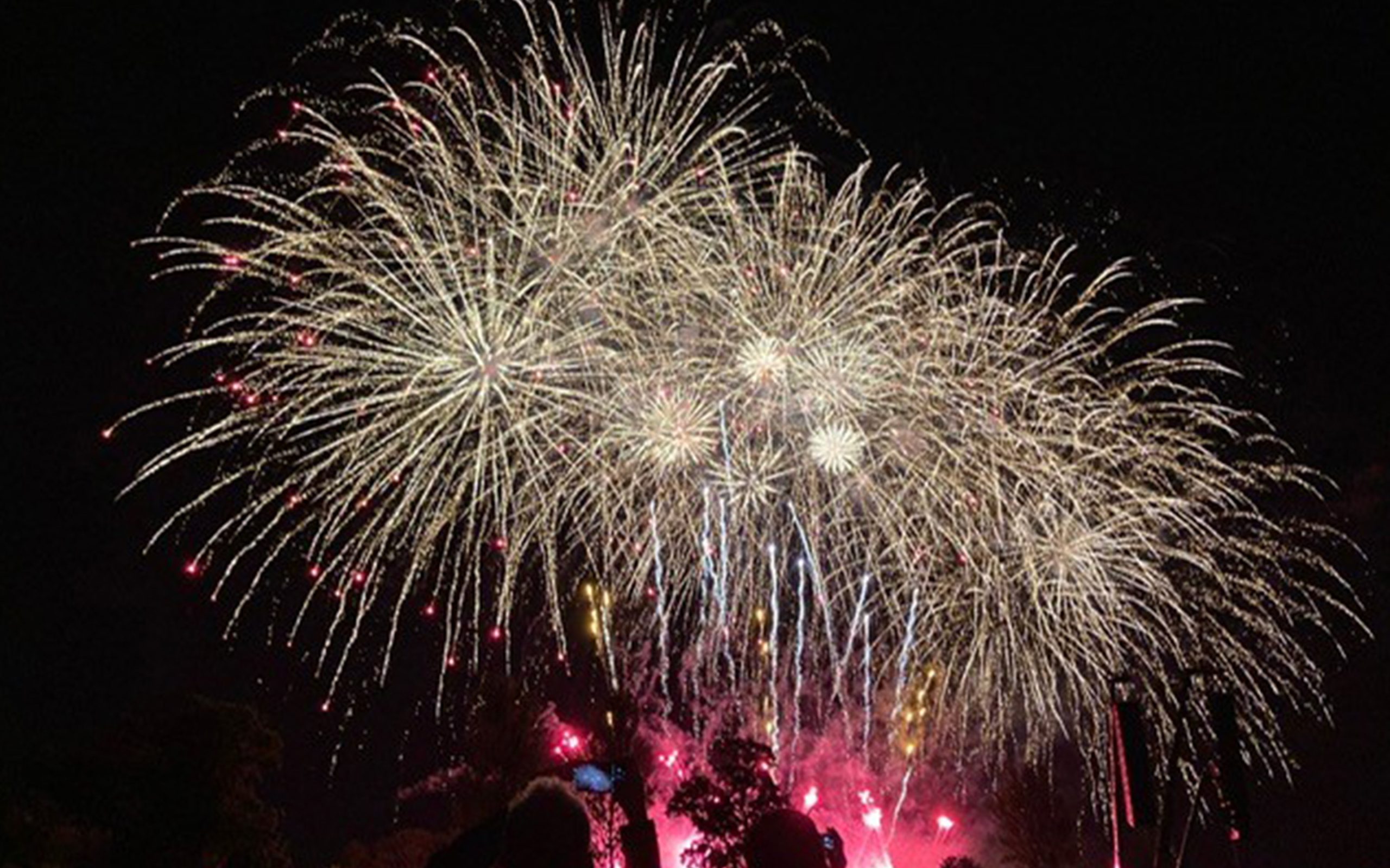 Selling fireworks this season? Make sure you're licensed and safe say ...
