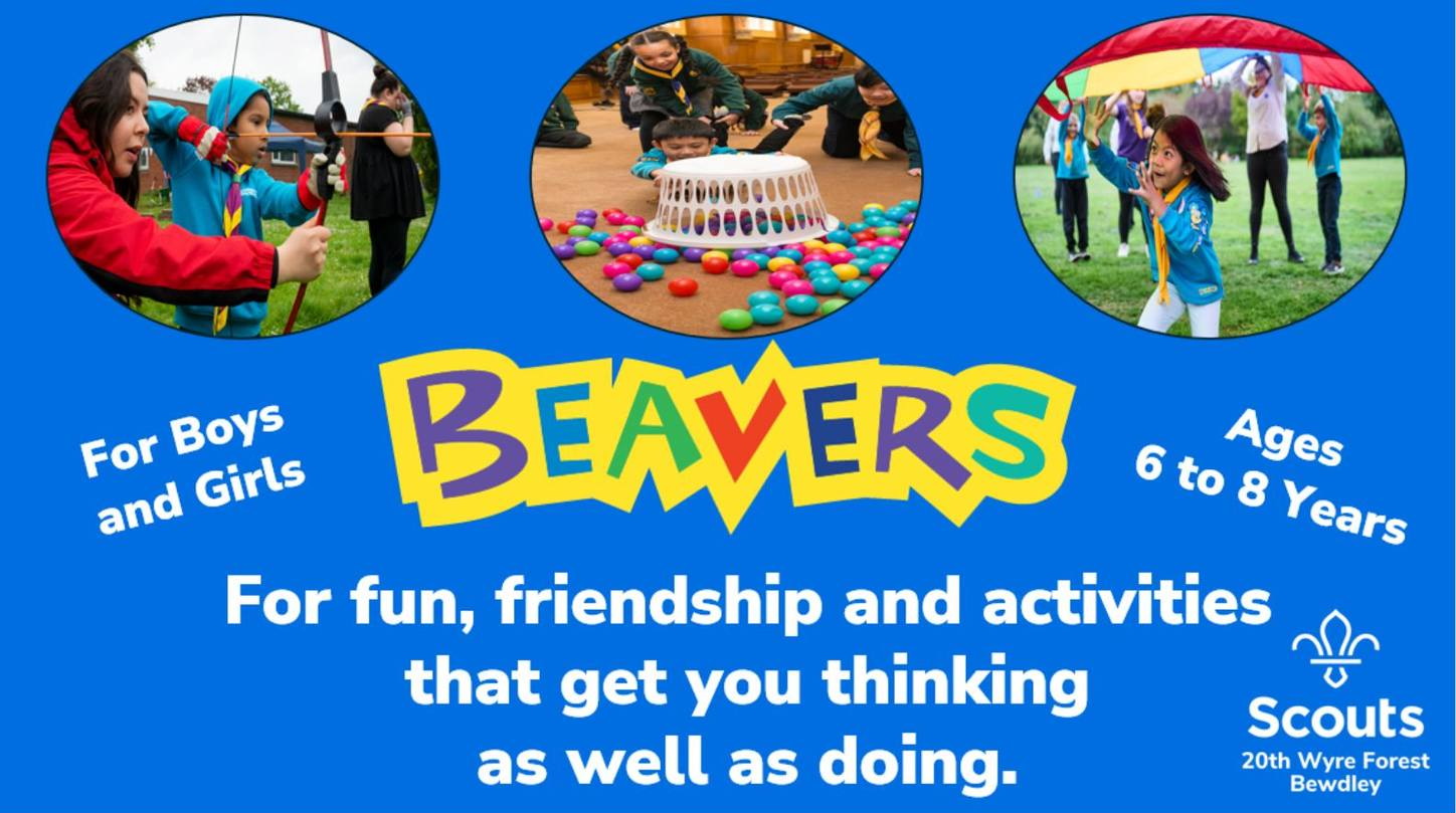 Appeal to find volunteers for Bewdley Beavers group The Kidderminster ...